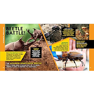 The Fascinating Bug Book for Kids: 500 Startling Facts! (Fascinating Facts)