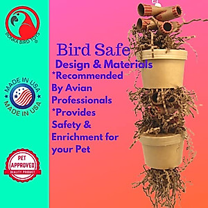 Bonka Bird Toys 3867 Duo Money Pot Medium Large Bird Toy Treat Box Foraging Paper Chew Coin Tube Shred African Grey Amazon Conures and Other Similar Birds