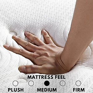 Rucas Queen Size Hybrid Mattress in a Box, 12 Inch Euro Top Cool Gel Memory Foam Mattress Pocket Spring Firm with 5 Zone for Back Pain Relief, 10 Year Support, 100-Night Trial