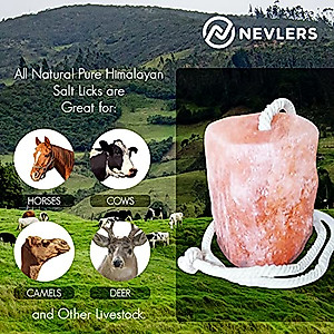 Nevlers 2 Pack Himalayan Salt Lick on Ropes for Animals -All Natural Pure Mineral Block - Himalayan Salt Block for Deer, Salt Block for Horses, Cows, & Other Livestock - 4.5-6 lbs Each