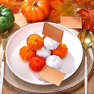 Wonderjune 12 Sets Artificial Pumpkins Harvest Fall Autumn Decoration with Card Thanksgiving Table Decor for Fall Themed Party(Orange, Brown, White)
