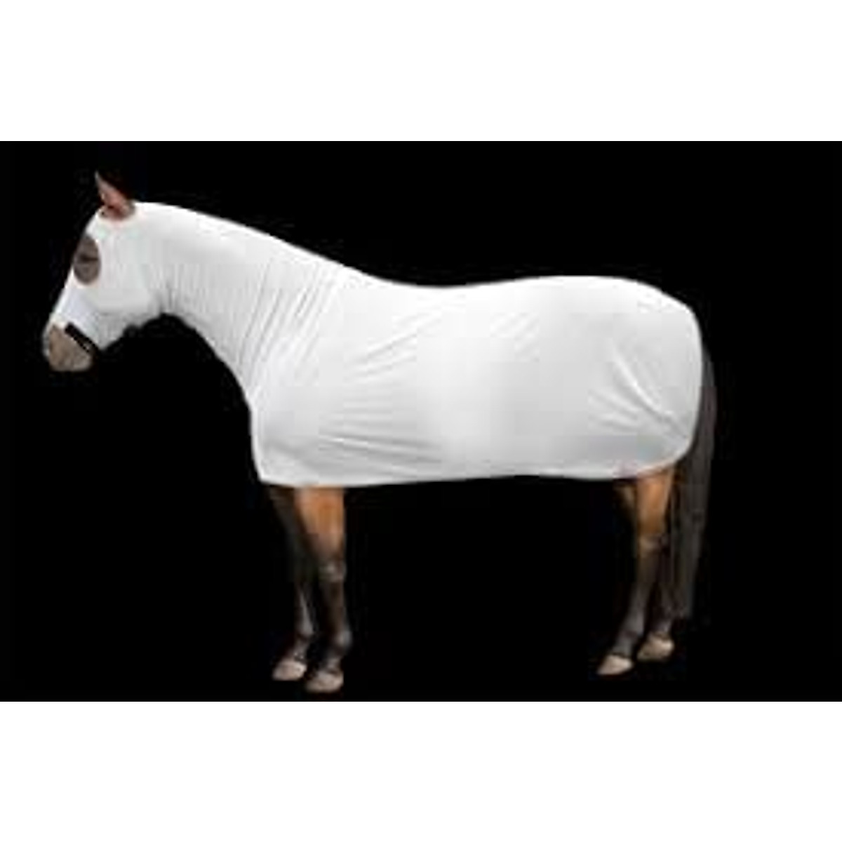 Sleazy Sleepwear For Horses BL044001 Full Body Sleazy Silver M