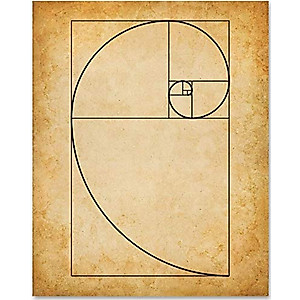 Fibonacci Spiral - 11x14 Unframed Art Print - Makes a Great Gift Under $15 for Artists