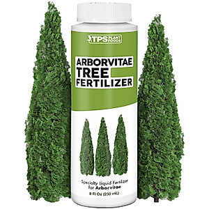 Arborvitae Tree Fertilizer for All Arborvitaes, Evergreen Shrubs and Thuja Trees, Liquid Plant Food 8 oz (250mL)