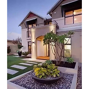 BesYouSel R7S LED Bulb 10W 78mm Double Ended LED COB Bulbs 100W Halogen Equivalent 120V J Type R7s Floodlight Adjustable Cool White 6000K Landscape Lights for Home, School, Warehouse, Pack of 3