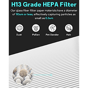 Leemone 2 Pack Blue Pure 211i Max Filter Replacement Compatible with Blueair Blue Pure 211i Max Air Purifier, H13 True HEPA & Activated Carbon Filter, Compare to Part #F2MAX