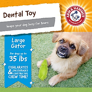 Arm & Hammer for Pets Super Treadz Gator Chew Toy - Best Chew Toys Reduce Plaque & Tartar Buildup Without Brushing - For Dogs up to 35 Lbs