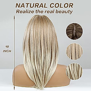 HAIRCUBE Layered Wigs for Women Synthetic Wig