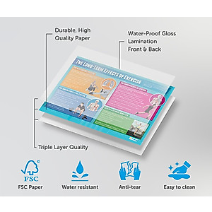 The Long-Term Effects of Exercise Classroom Poster - EXTRA LARGE 33” x 23.5” - Laminated - Physical Education Middle & High School Class Decor - Wall Charts by Daydream Education.