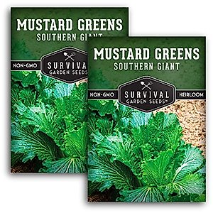 Survival Garden Seeds - Southern Giant Mustard Greens Seed for Planting - 2 Packets with Instructions to Grow Spicy Brassica Juncea Leaves in Your Home Vegetable Garden - Non-GMO Heirloom Variety