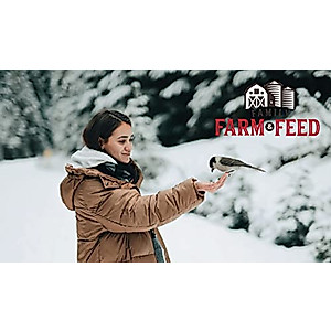 FAMILY FARM AND FEED | Four Seasons | Striped Sunflower Seed | Wild Bird Food | Backyard Songbird | 3 Pounds