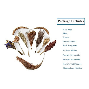 JFWOD Natural Hamster Bedding Flowers Herbs Sprays Treat Cereal Grain for Cage Habitat Enclosure Decor Hamster Chews for Dwarf Syrian Gerbils Mice Mouse Rat Forage Pet Hamster Accessories