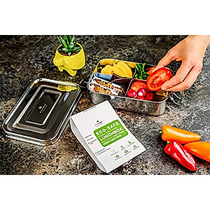 ecozoi Stainless Steel Eco Lunch Box, Leak Proof, 4 Compartment | Sustainable Zero Waste Eco Friendly Bento Box Food Storage Container