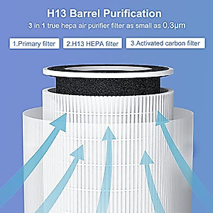 Air Purifier for Large Room, H13 HEPA Air Filter Cleaner for Bedroom, Covers up to 1000 sq ft, Auto whole Home Air Purifier Cleaner, Quiet Room Air Filters