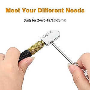 SPEEDWOX Glass Cutting Tool Kit 2mm-20mm Pencil Style Oil Feed Glass Cutter with 2 Replaceable Blades Ergonomic Assist Handle Tungsten Scribe Engraving Pen Oil Dropper Screwdrive Steel Ruler