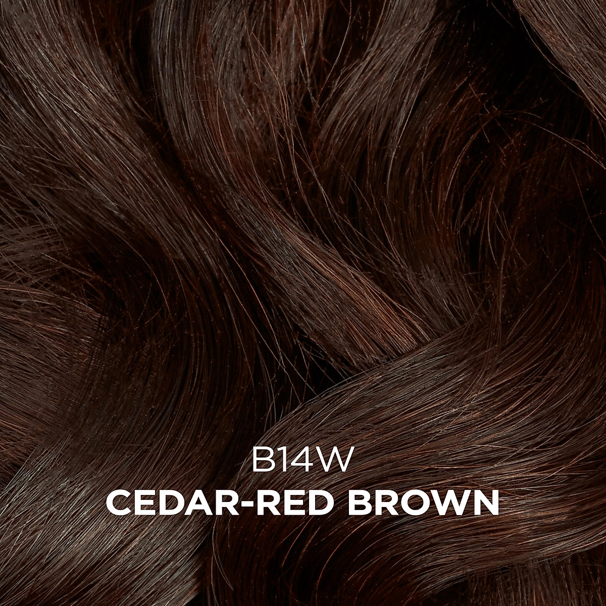Clairol Professional Beautiful Collection Hair Color, 14W Cedar Red Brown, 3 oz. - Packaging May Vary
