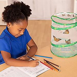 Butterfly Garden: Original Habitat and Live Cup of Caterpillars with STEM Butterfly Journal – Life Science & STEM Education – Butterfly Science Kit