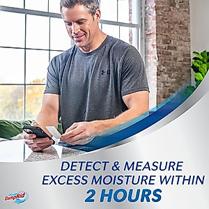 DampRid Hi-Capacity Moisture Absorber Bucket, Fresh Scent, 2 lb. 15.5 oz. & Moisture Detection Strip (2 Pack), Attracts & Traps Excess Moisture