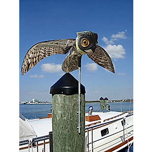 Bird-X Prowler Fake Owl Moving Wings-Realistic Bird Scare, Hawk, Pigeon, and Squirrel Repellent, Pest Deterrent Decoy Black Small