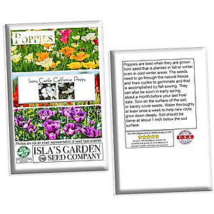 Ivory Castle White California Poppy Seeds for Planting, 1000+ Seeds Per Packet, (Isla's Garden Seeds), Non GMO & Heirloom Seeds, Scientific Name: Eschscholzia californica, Great Home Garden Gift