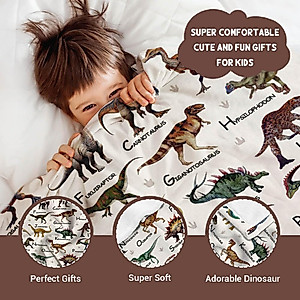 Dinosaurs Blanket Gifts Super Soft Lightweight Flannel Dinosaurs Bed Alphabet Blankets Throw for Kids, Adult, Suitable for Couch, Sofa, Bed, Camping, Travel All Seasons 40"x50" for Kid