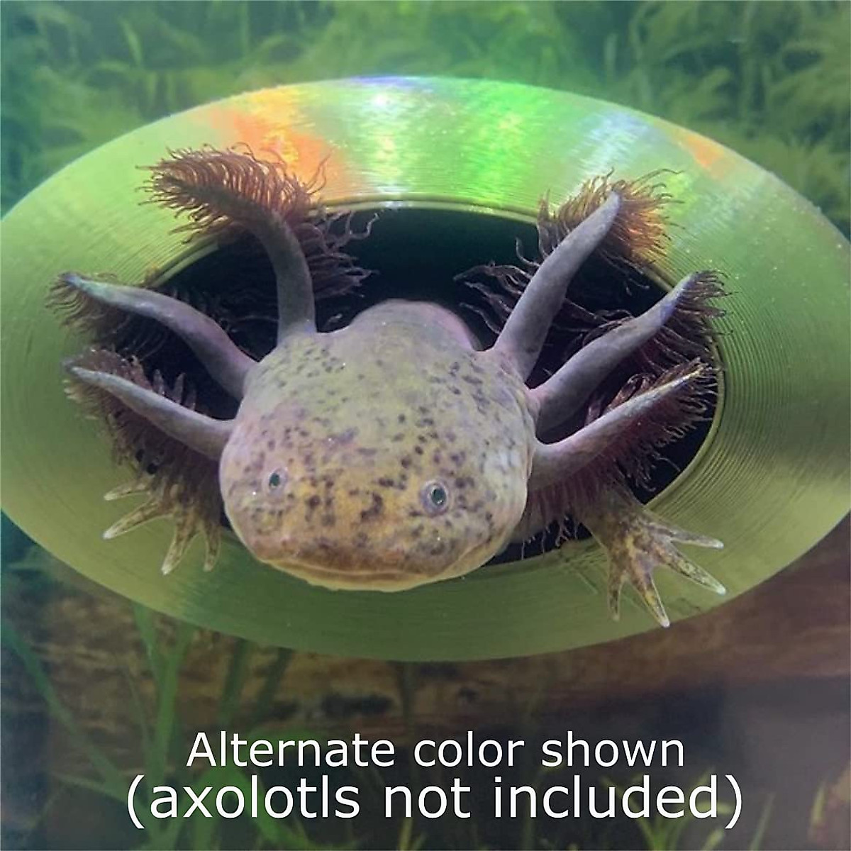 Stroodies Giant Bubbleloft Hide for Arboreal Geckos | Especially Adult Cresties | Includes 4X Suction Cups | (LeafGreen)