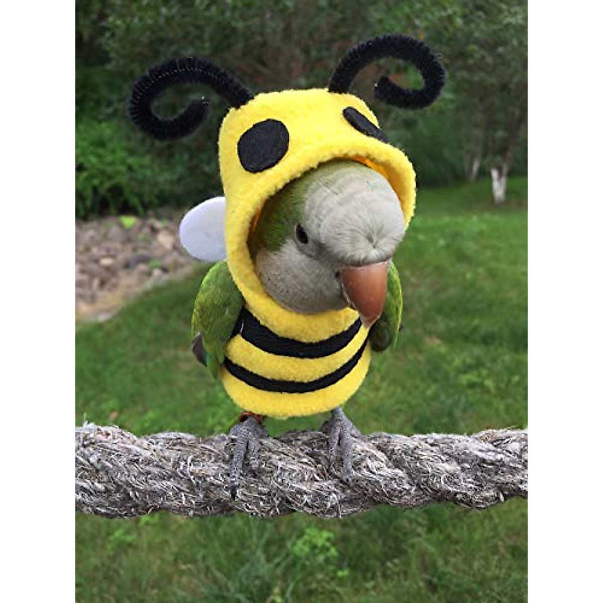 Parrot bird supplies, light flying clothes, warm and comfortable, tiger skin, green cheek parrot, little sun parrot, monk parrot, starling, mynah, Senegal parrot, mini macaw, Keck parrot, etc. (2M)