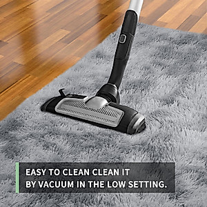 Sour Lemon 5x7 Area Rugs, Large Area Rug 5 x7, Washable Area Rugs, Bedroom Area Rug Shag Shaggy Carpet Soft Plush Furry Bedside Fluffy Rug for Living Room Kids Girls Boys Home Decor Anti Slip