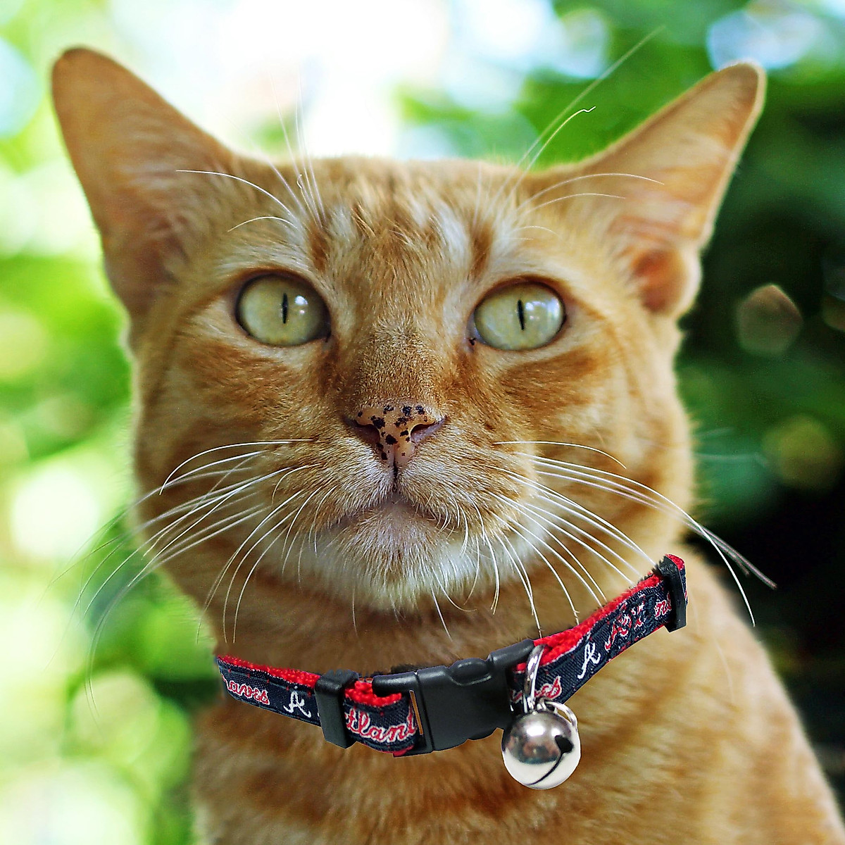 MLB CAT COLLAR. - ATLANTA BRAVES CAT COLLAR. - Strong & Adjustable BASEBALL Cat Collars with Metal Jingle Bell