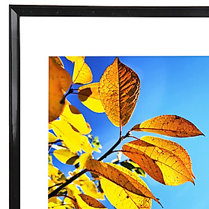 Aynoo 11x14 Picture Frame Black Set of 3 Pack 11x14 Picture Frames Display Pictures 6x8 11x14 Wall Mounting Thin Border Photo Frame for Wall,Black, 3Pack