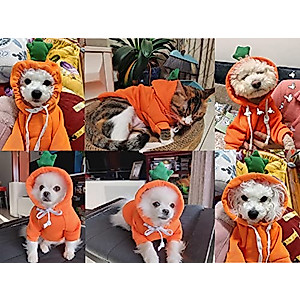 Dog Hoodies Pet Carrot Apparel Puppy Clothes Sweatshirt Doggie Outfits Cat Coat with Hat- Orange (Small)