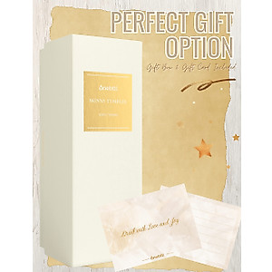 Onebttl Paris Gifts for Women, Insulated Stainless Steel Wine Tumbler with Lid and Straw, Vintage Cup, 20 oz