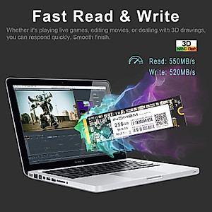 INDMEM SATA SSD 256GB 3D TLC Flash Drive Replacement for MacBook Pro Retina Mid 2012, Late 2012, Early 2013 A1425 (EMC 2557/2672), A1398 (EMC 2512/2673)