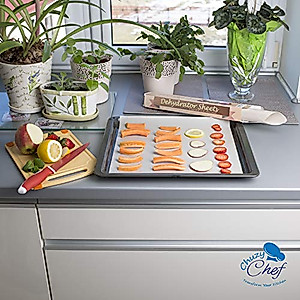 Chuzy Chef Set of 9 Dehydrator Sheets - Baking Mat Teflon Dehydrator Sheet - 14'' X 14'' Food Dehydrator Tray Liners Non Stick Sheets Baking Mat Food Dryer Sheet For Excalibur