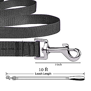 Accessory USA 10ft Black Long Line Training Dog Leash,for Large,Medium and Small Dogs,Long Dog Lead,for Training,Backyard,Camping,or Play,Great for Parks and Fetch (10FT, Black)
