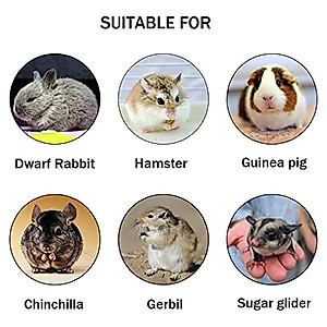 Hamiledyi Hamster Bridge,Hamster Wooden Bridge Bendy Climbing Ladder,Hamster Long Suspension Bridge Chew Toys for Hamster Rat Mice Gerbil Chinchilla Guinea Pig Chipmunk Sugar Glider