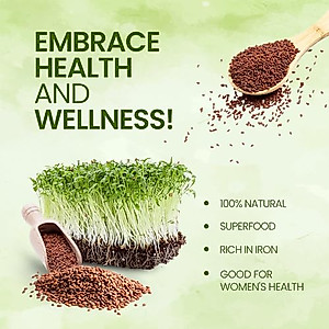 Dr. Herbalist-Garden Cress Seed (14.1Oz/400g), Lepidum Sativum, Halim Aliv, Rashad Seed for Eating,Excellent Nutrition Booster I Resealable Bag