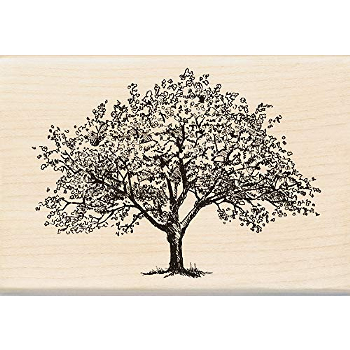 Inkadinkado Spring Blooming Tree Wooden Mounted Rubber Stamp for Card Making and Scrapbooking, 1pc, 4.02''L x 2.77''W