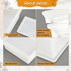 Barydat 2 Pack Food Storage Box Tote, Freezer and Dishwasher Safe Commercial Food Storage Containers Bins with Lids for Fruits Vegetables Grains Home Organization, White(5 Gallon)