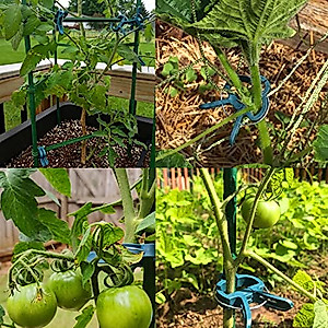 Yinghezu 40 Pcs Plant Support Clips,Flower and Vine,Garden Tomato Plant Support Clips for Supporting Stems,Vines Grow Upright Climbing,Tool for Straightening,Tomato Cage,Trellis. 2 Sizes in one Pack