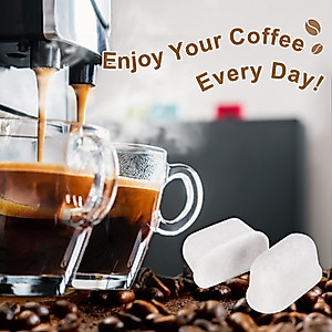 Geesta Premium 6-pack Water Filters For Replacement Breville BWF100 with Ion Exchange Resin inside, white, 12.09 x 6.22 x 2.6 inches (FBA_Geesta03)