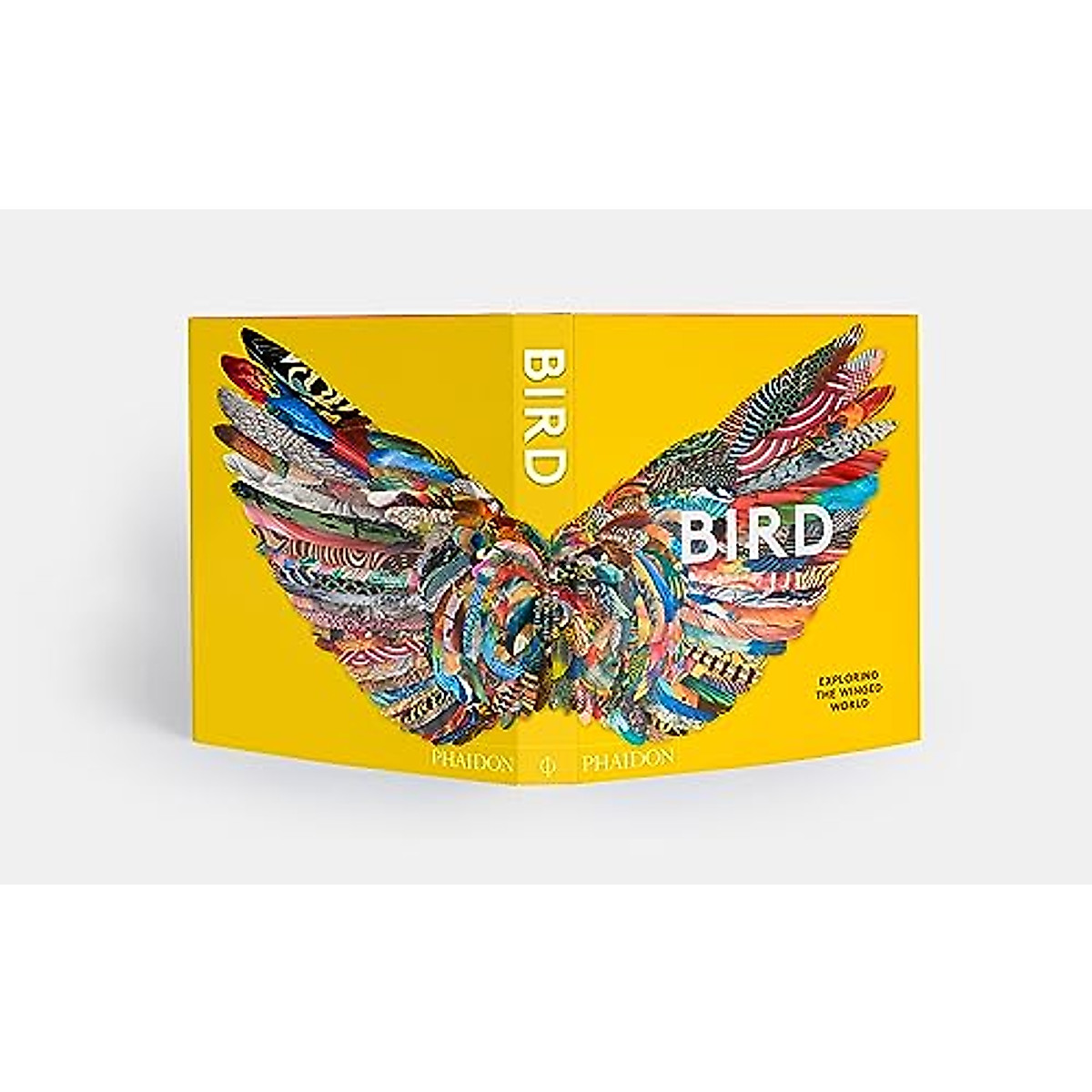 Bird: Exploring the Winged World