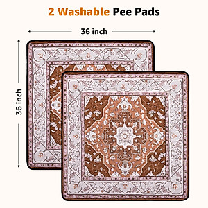 Washable Pee Pads for Dogs: 2 Pack Reusable Pee Pads for Dogs, Waterproof & Leakproof Washable Puppy Pad, Non-Slip Whelping Pee Pads & Potty Training Pad for Floor, Playpen,Crate, Couch, 36x36