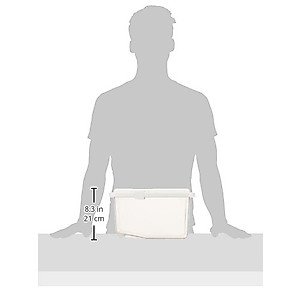 JapanBargain, Japanese Plastic Kome Bitsu Raw Rice Food Storage Container (11 LBS)