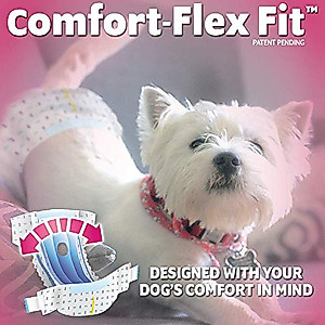 OUT! Pet Care Disposable Female Dog Diapers | Absorbent with Leak Proof Fit | Toy, 32 Count