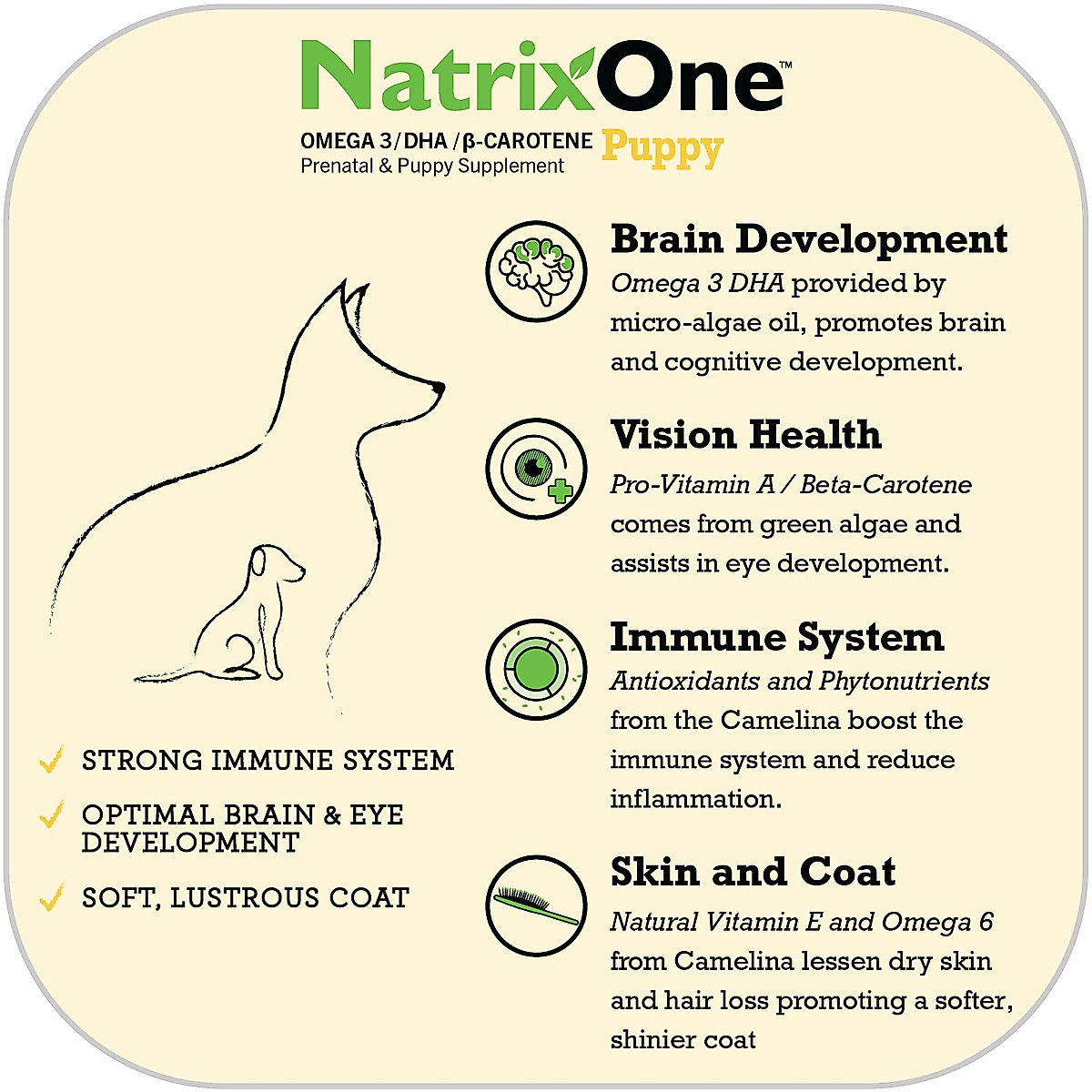 Puppy Vitamins and Supplements by Natrixone All-Natural Supplement for Puppies, Omega 3 6 9 Plus Immune System and Cognitive Development Booster, 8 Oz