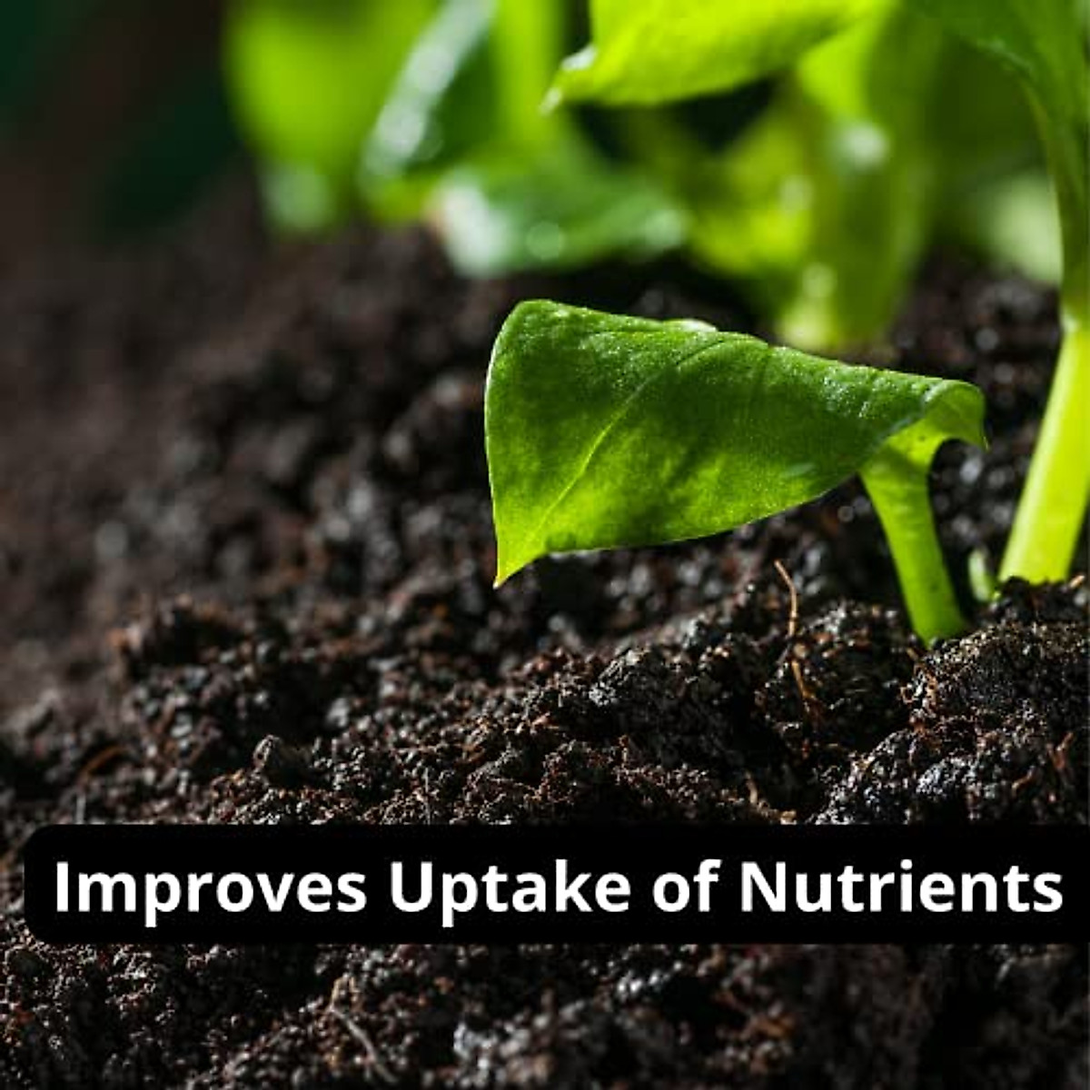 Humic Acid for Plants - Organic Soil Conditioner Fertilizer for Garden, Lawn and Vegetable Crops. (40K sqft Per Bag)