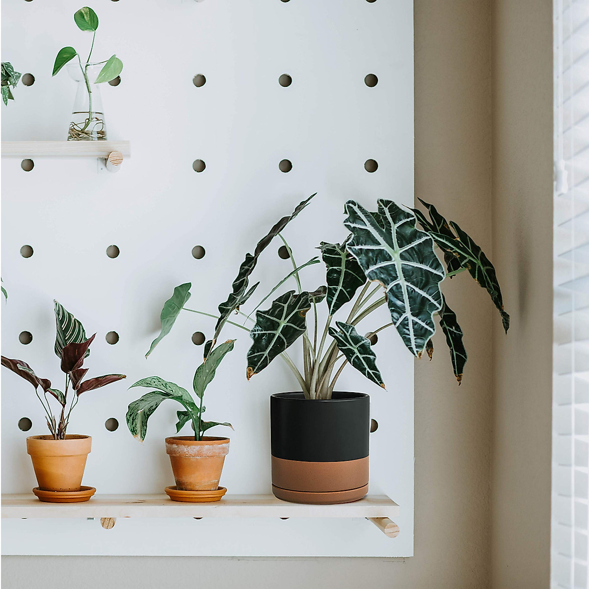 D'vine Dev 6 Inch Ceramic Planter Pot with Drainage Hole and Saucer, Indoor Cylinder Round Planter Pot, Black/Speckled Tan, 94-O-S-7