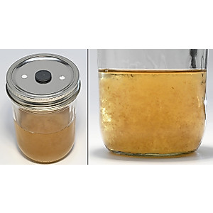 Root Mushroom Farm- 6Pcs Wide Mouth Mushroom Liquid Culture Lids, Mason Jar Lid with Two air exchange openings, 0.22um PTFE Filters & 20mm Self Healing Injection Port