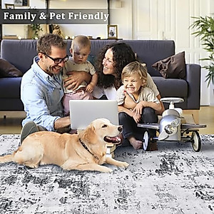 RUGSREAL Washable Area Rug 8x10 Modern Abstract Rug Non-Slip Non-Shedding Area Rug Low Pile Foldable Thin Carpet Machine Washable Rug for Living Room Bedroom, Grey